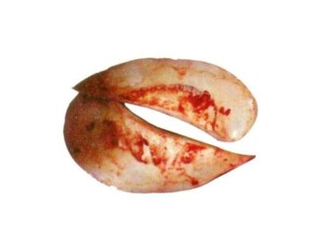 Al-Waafi - Agro Foods