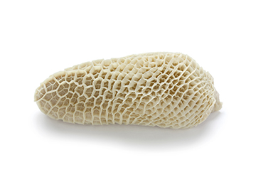 Al-Waafi - Agro Foods