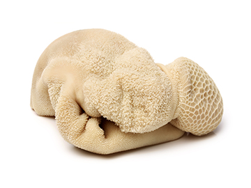 Al-Waafi - Agro Foods